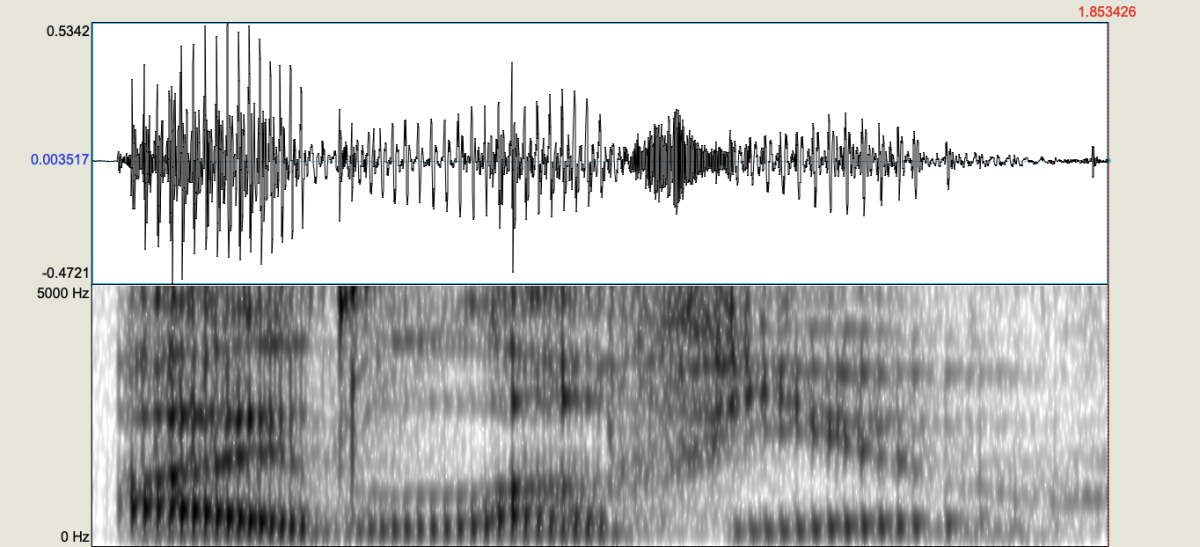 Working Papers & Projects – Jared Michael Purcell